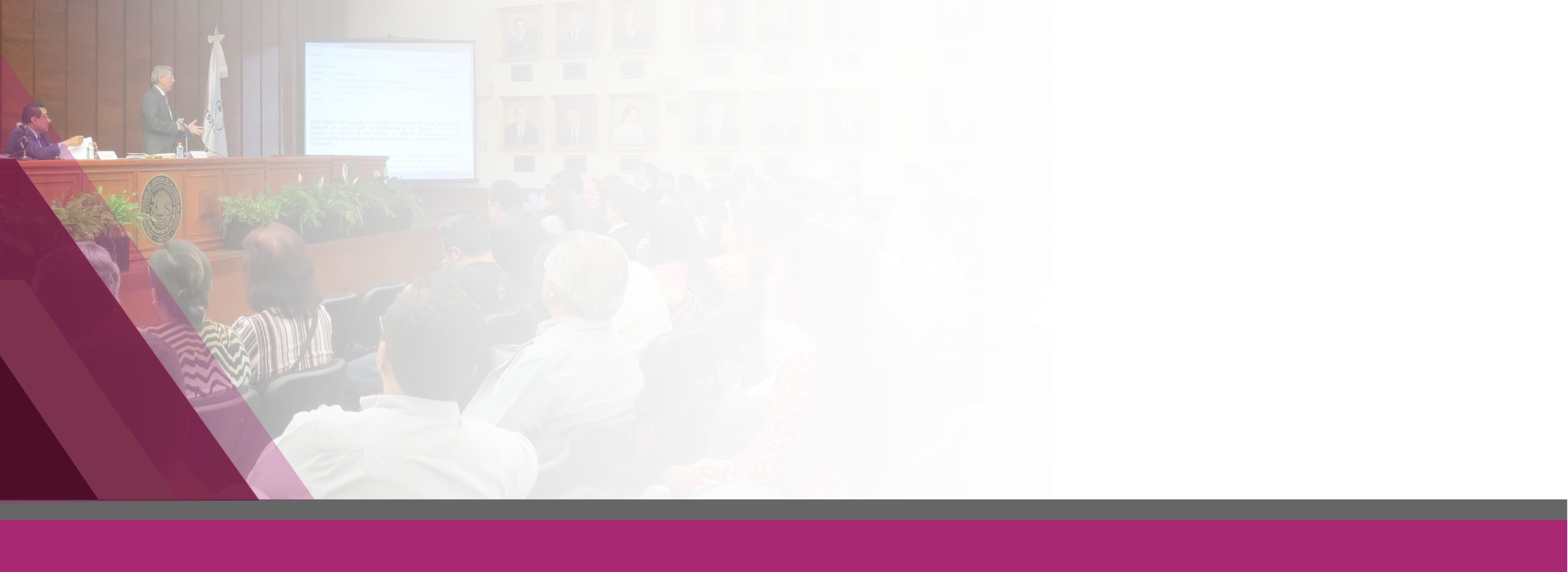 Instituto de Estudios Judiciales – IEJ